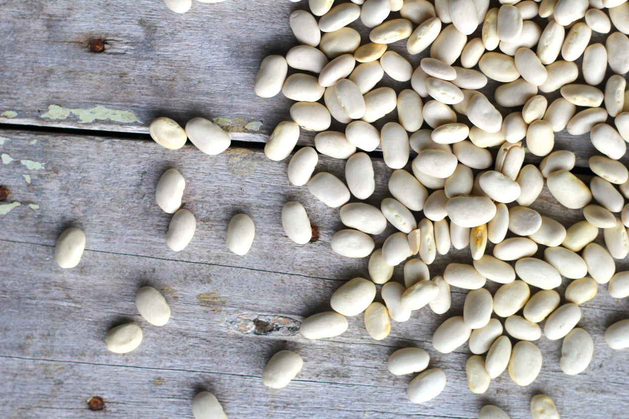 White Bean, Fennel & Dill Salad – highgate hill kitchen