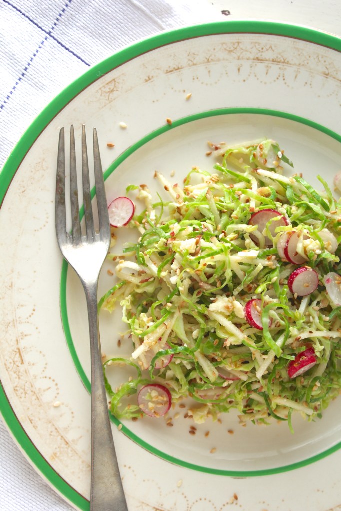 Brussels Sprouts, Radish & Apple Salad – highgate hill kitchen