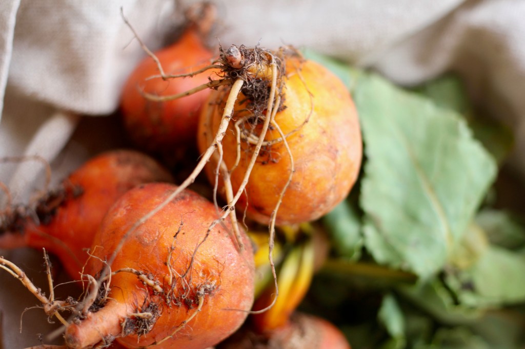 Carrot, Beetroot & Pickled Fennel Salad – highgate hill kitchen